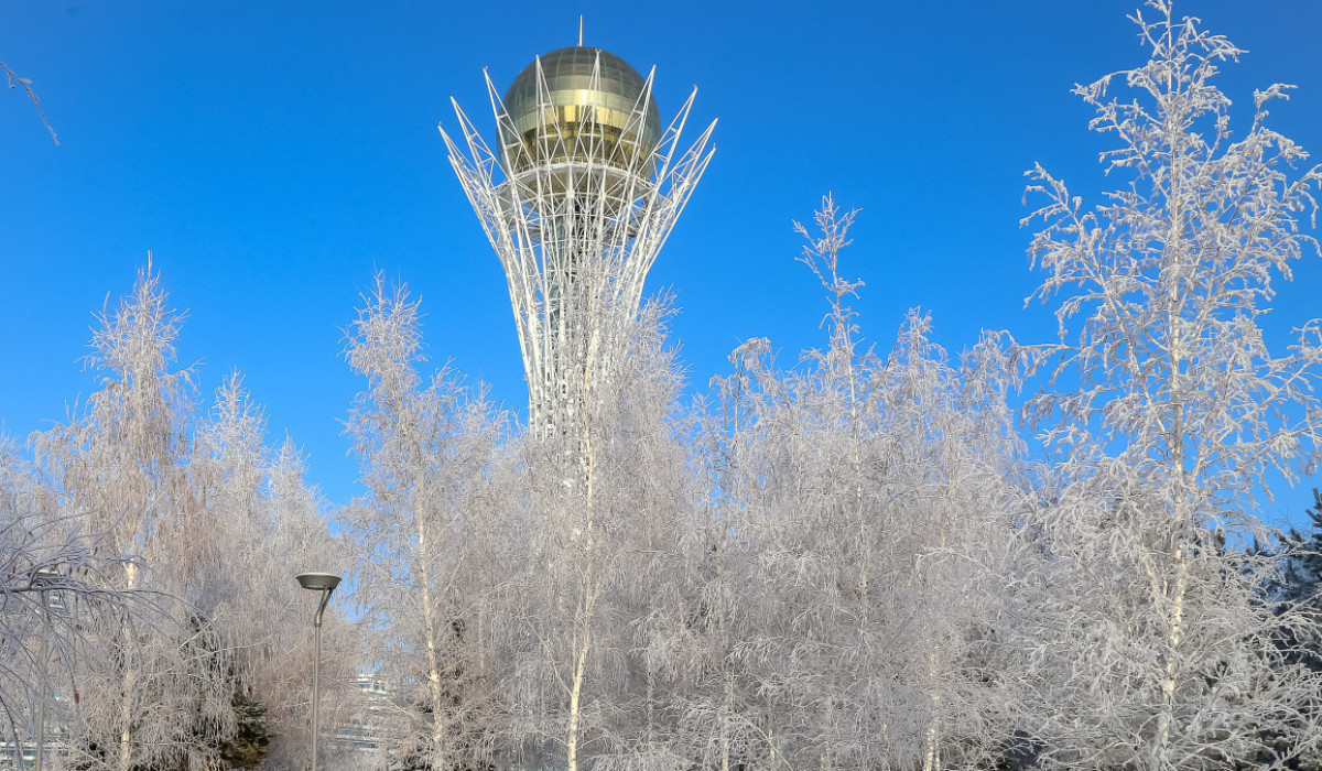 Kazakhstan’s population exceeds 20.2 mln people - el.kz